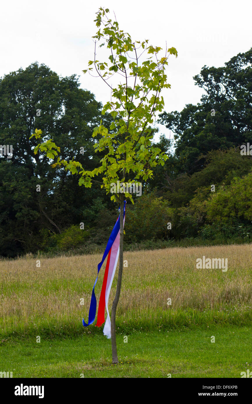 Flying the colours hi-res stock photography and images - Alamy