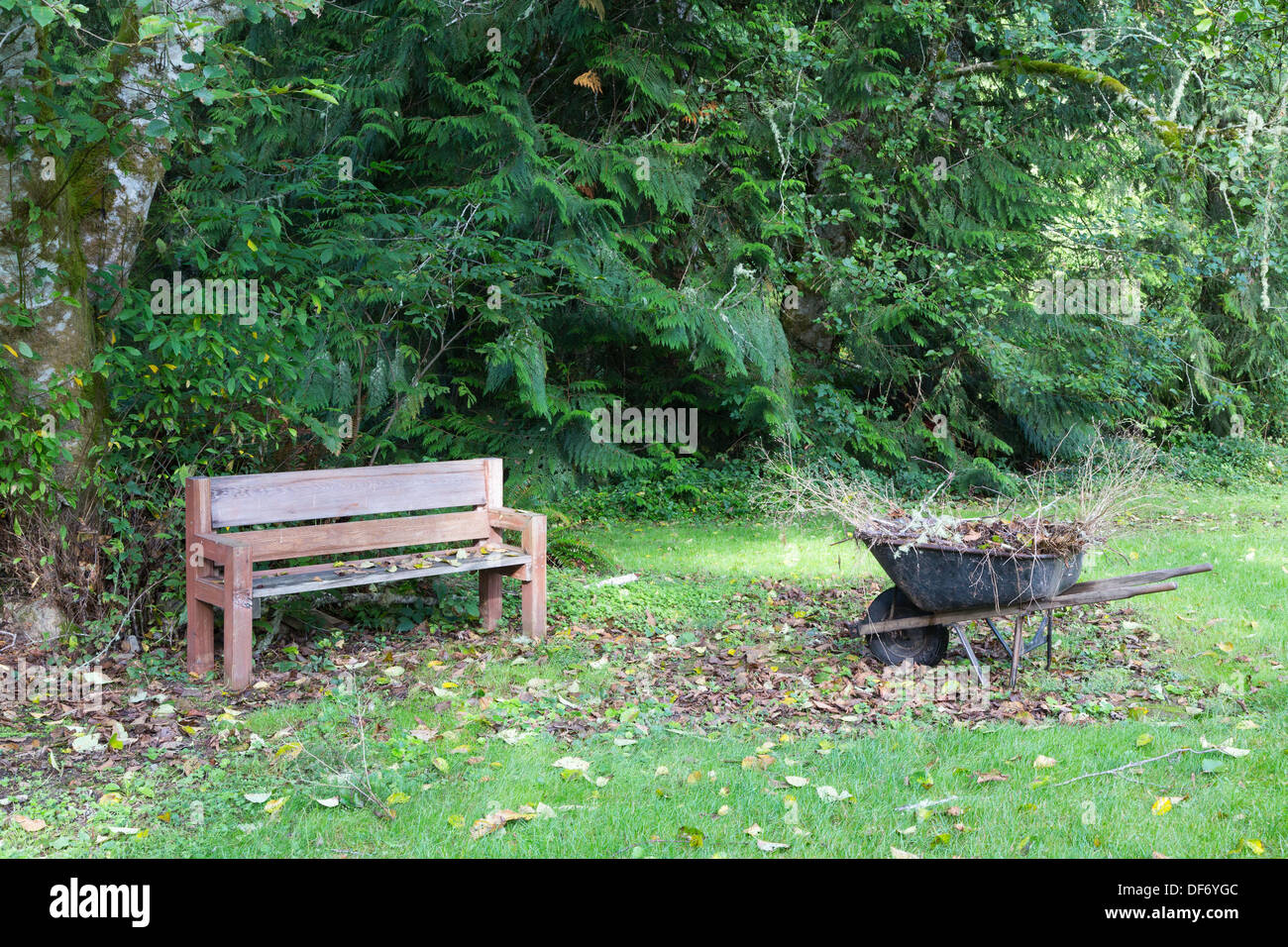 Old bench tree hi-res stock photography and images - Alamy
