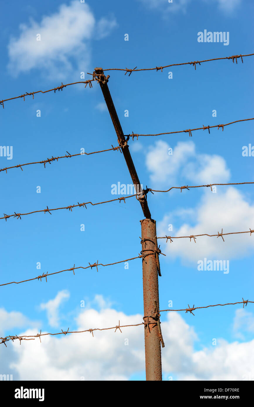 Twisted barbed wire hi-res stock photography and images - Alamy