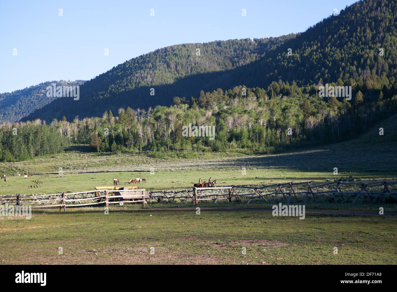 Cowgirl riding the range hi-res stock photography and images - Alamy