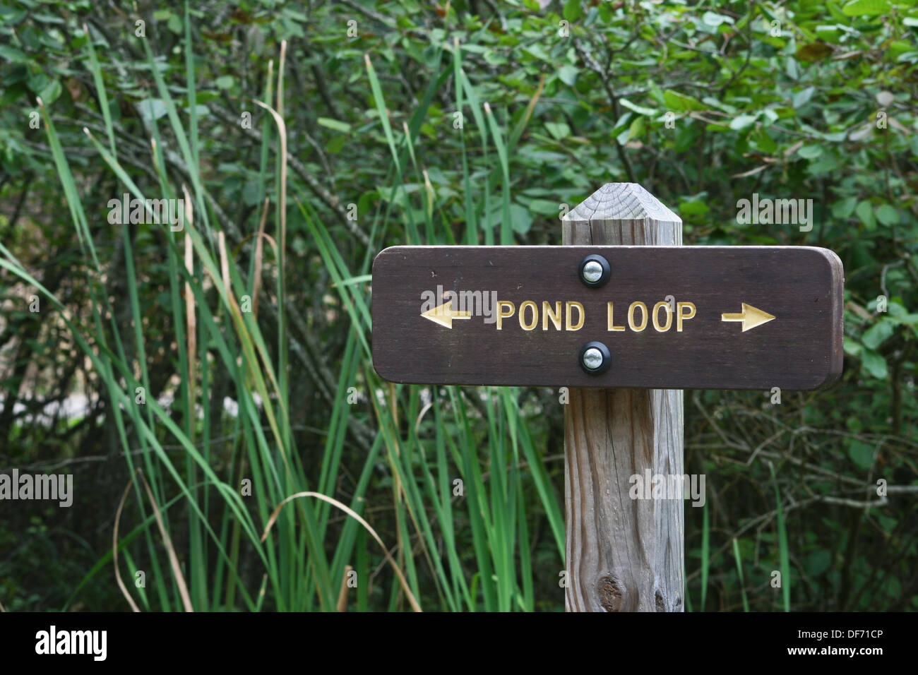 Wooden sign in park saying pond loop Stock Photo - Alamy