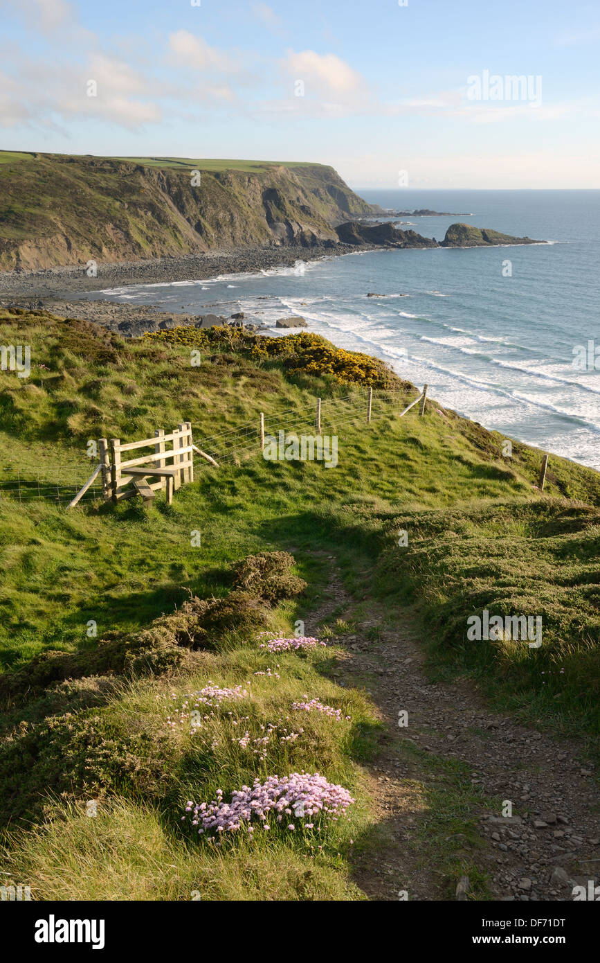 View from The Hermitage along the coastal footpath overlooking Welcombe ...