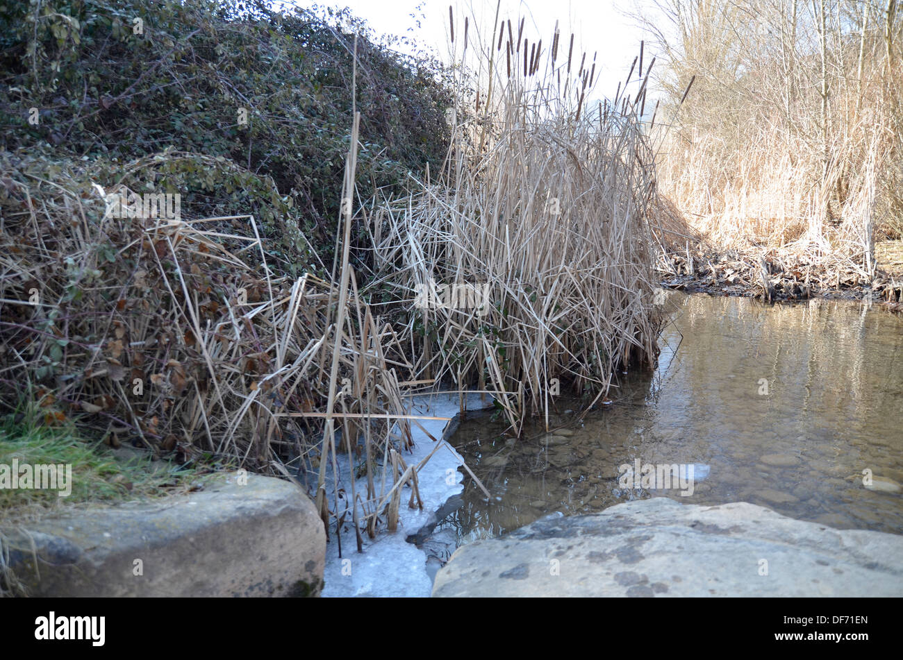 Rill High Resolution Stock Photography and Images - Alamy