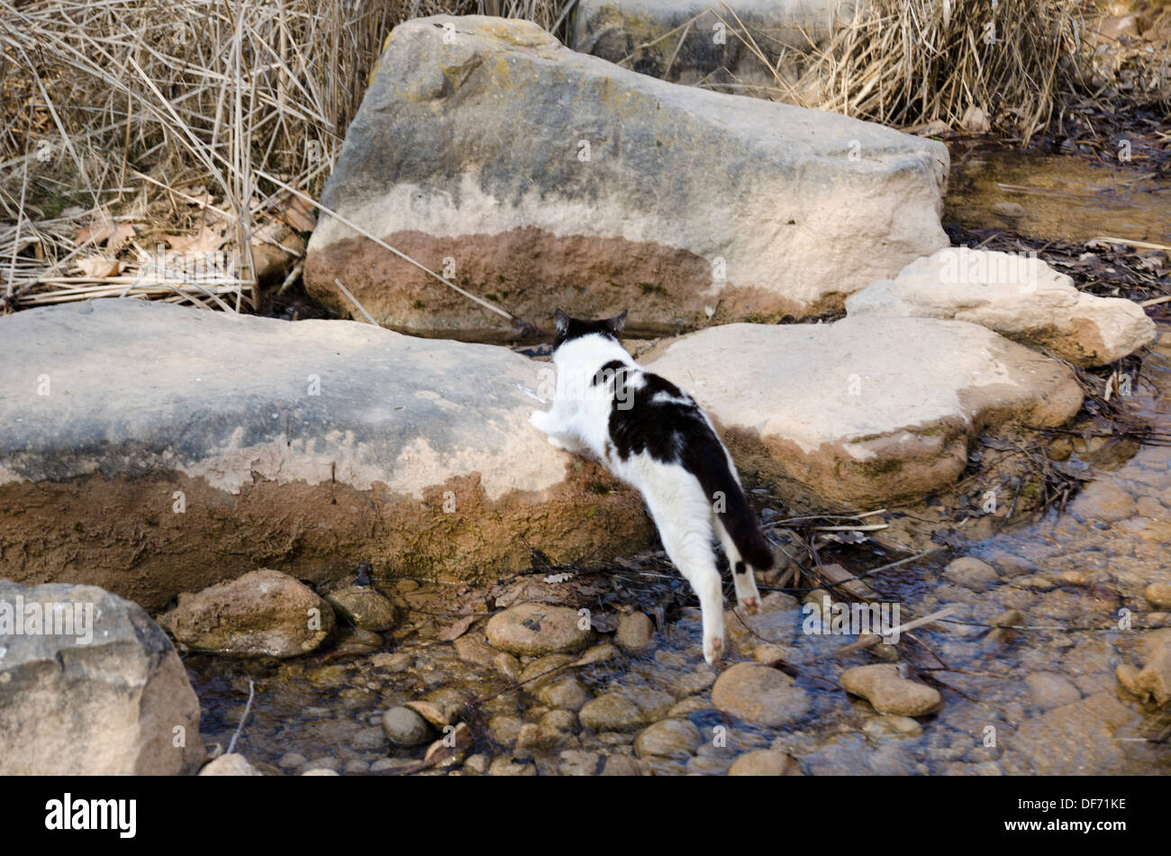 Cool stone hi-res stock photography and images - Alamy
