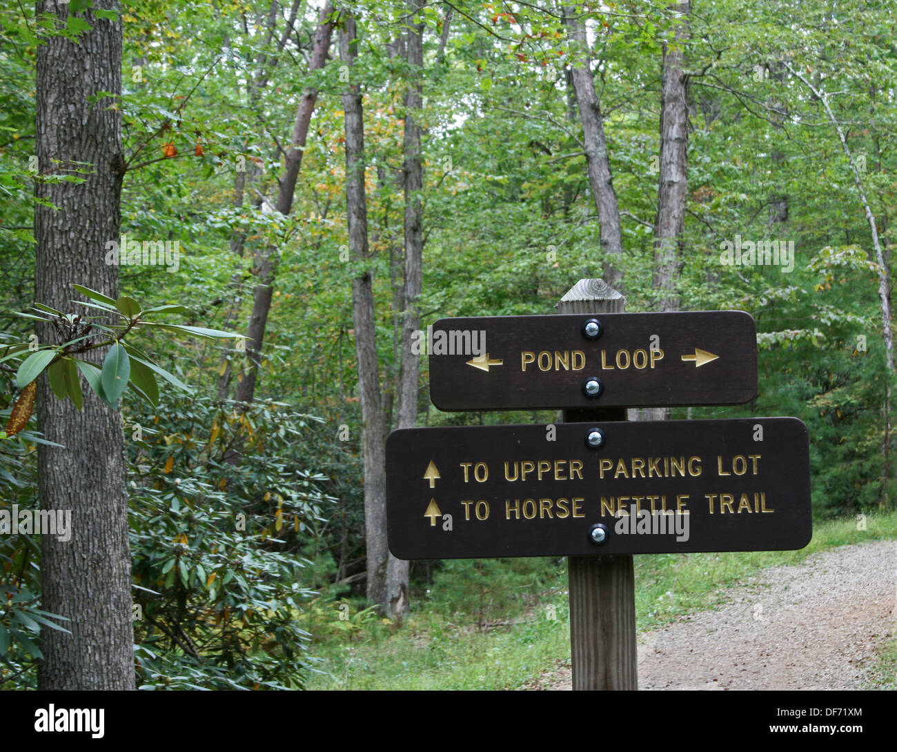 Camping saying hi-res stock photography and images - Alamy
