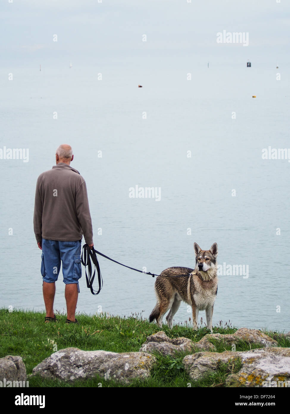 Man and husky dog hi-res stock photography and images - Alamy