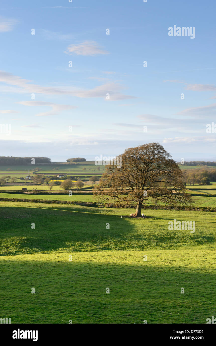 Holford hi-res stock photography and images - Alamy