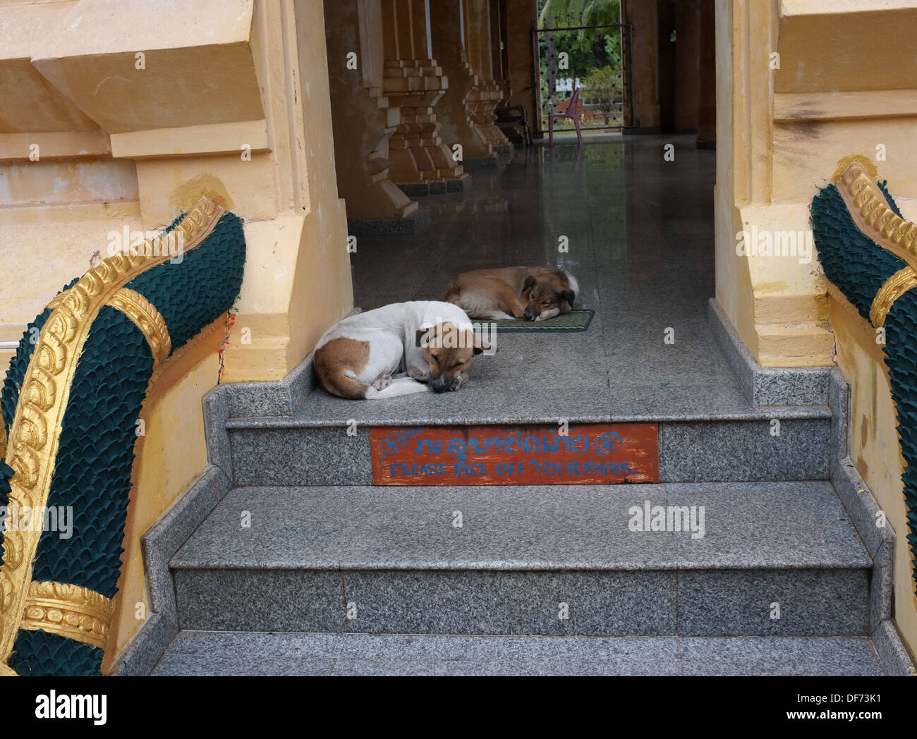 Two dogs sleeping on the steps of a Buddhist temple in Vientiane, Laos ...