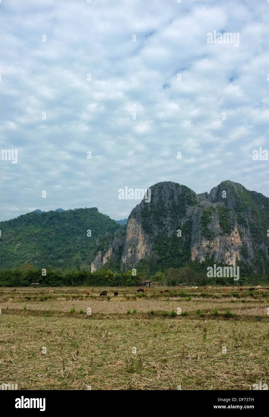 Laos lao mountains scenery hi-res stock photography and images - Alamy