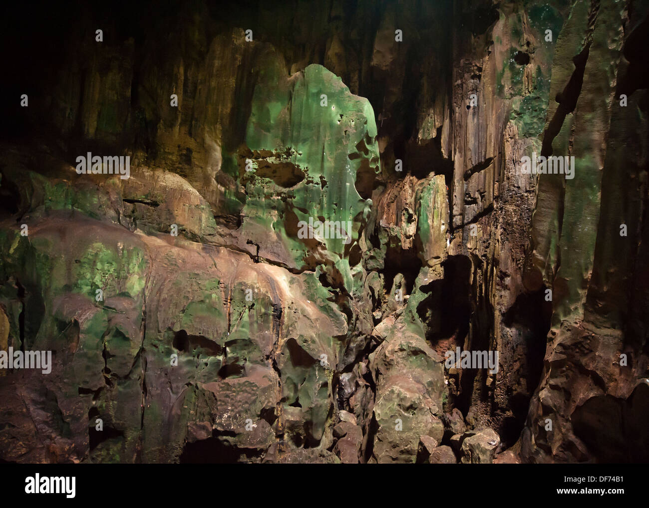 Lichen in the Niah caves in Sarawak Stock Photo - Alamy