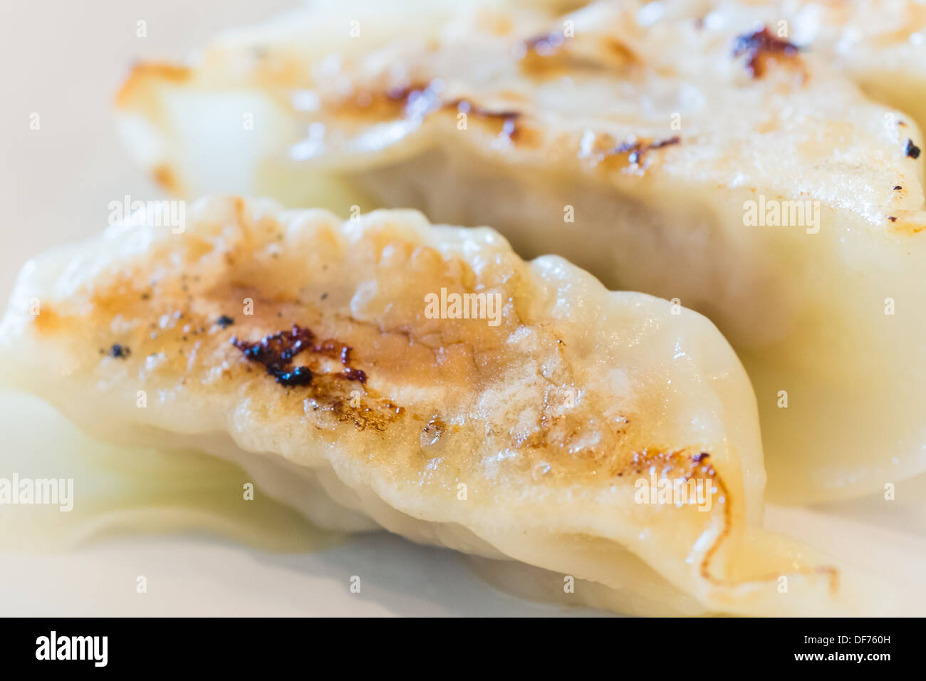 japanese food style dumpling on white dish Stock Photo - Alamy