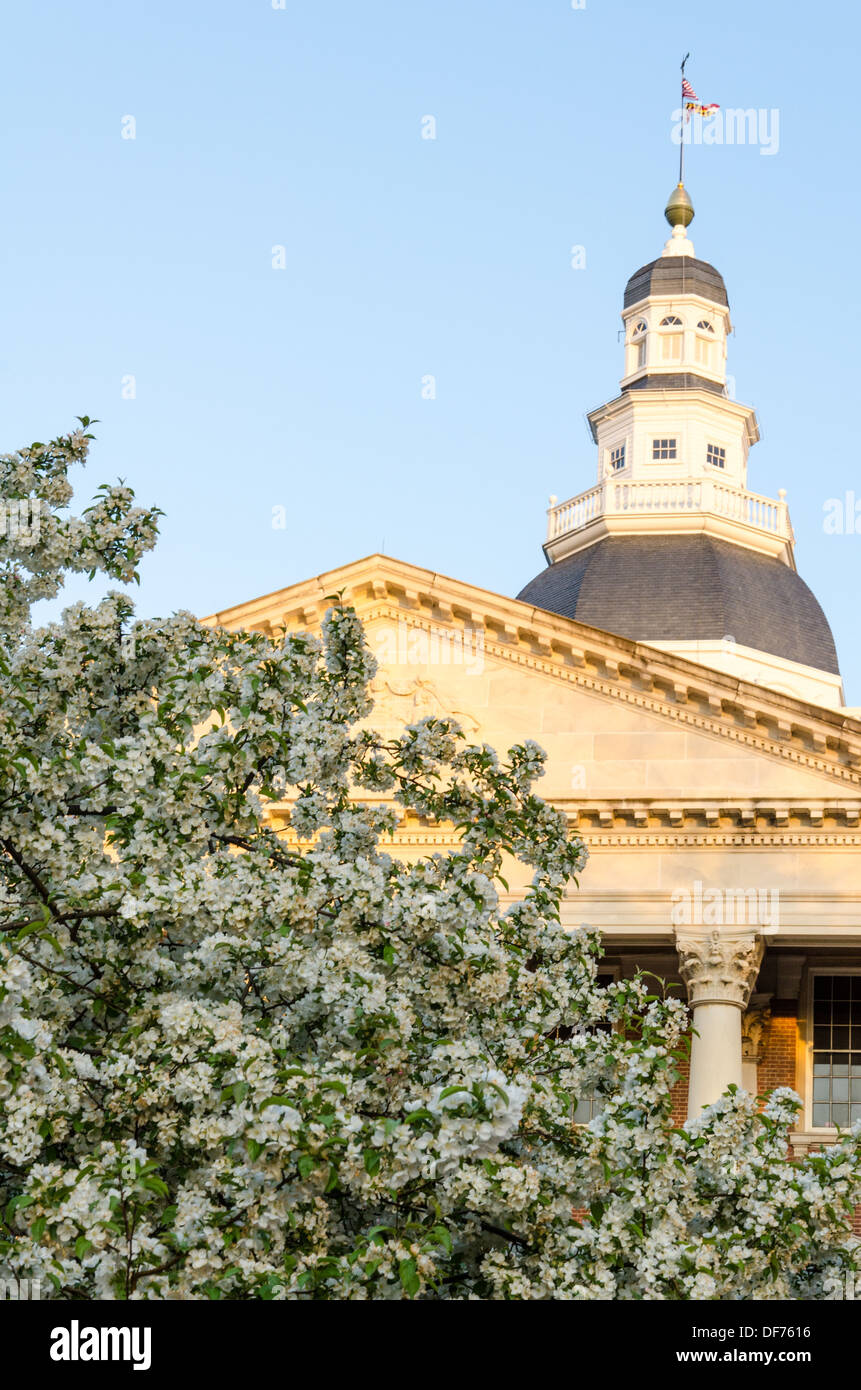 Golden tree house hi-res stock photography and images - Alamy