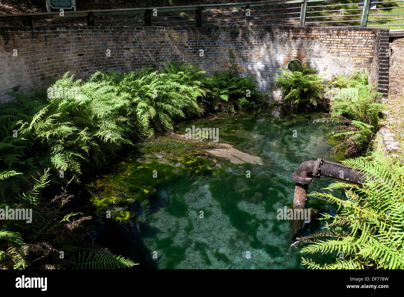 Artesian spring basin at the Boulware Springs Water Works, the original ...