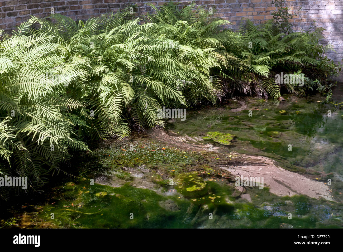 Artesian spring basin at the Boulware Springs Water Works, the original ...