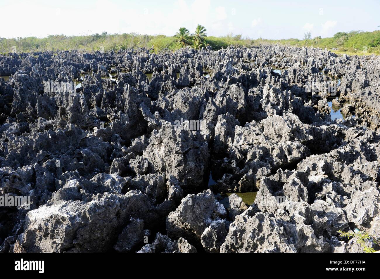 Hell In The Caribbean High Resolution Stock Photography and Images - Alamy