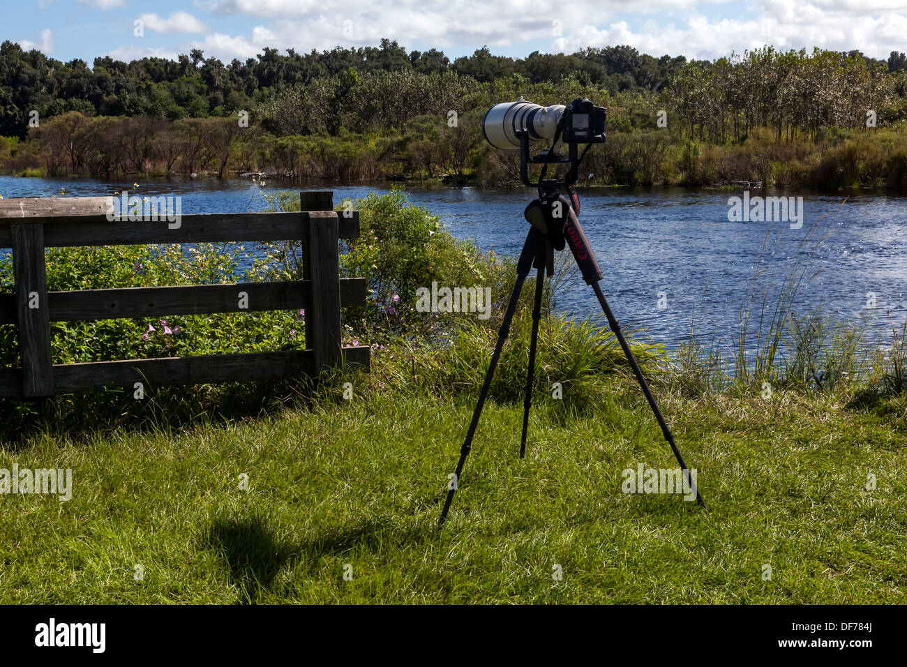 Nature photographer's professional Canon camera with zoom lens on Gitzo ...