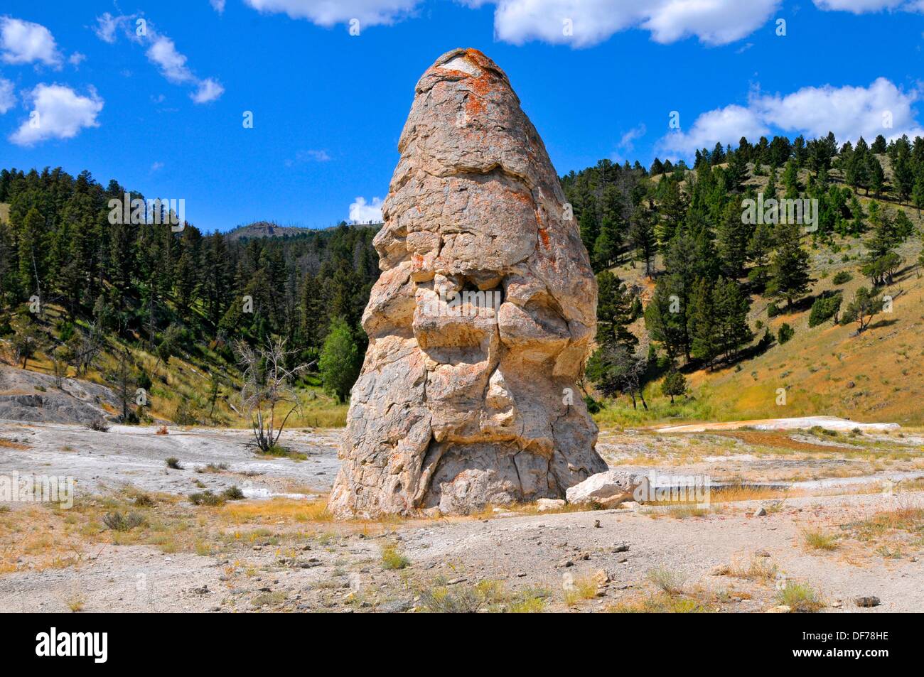Liberty Cap High Resolution Stock Photography and Images - Alamy