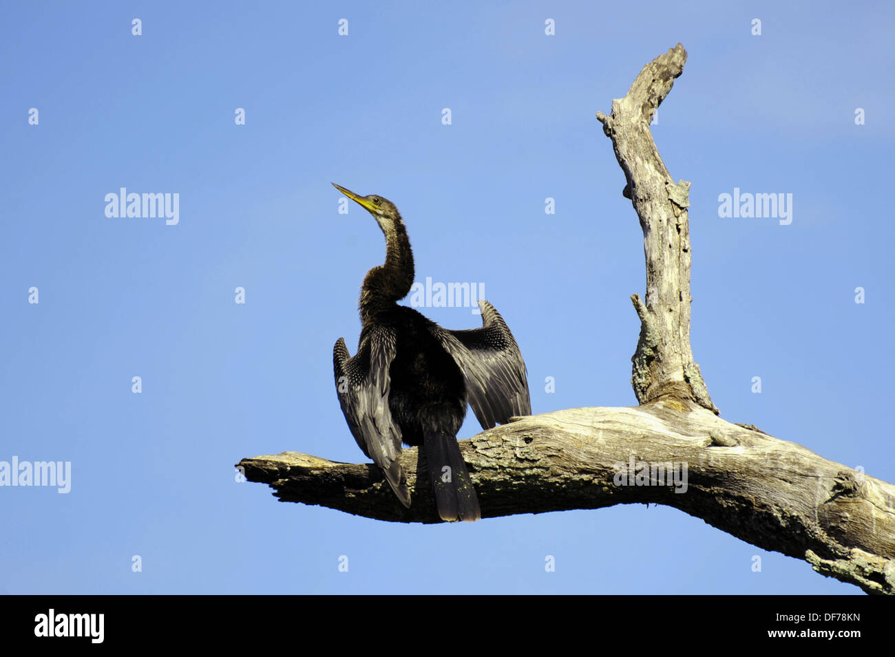 Male circle hi-res stock photography and images - Alamy