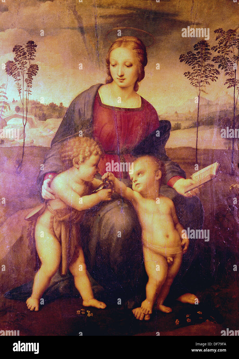 Madonna of the goldfinch hi-res stock photography and images - Alamy