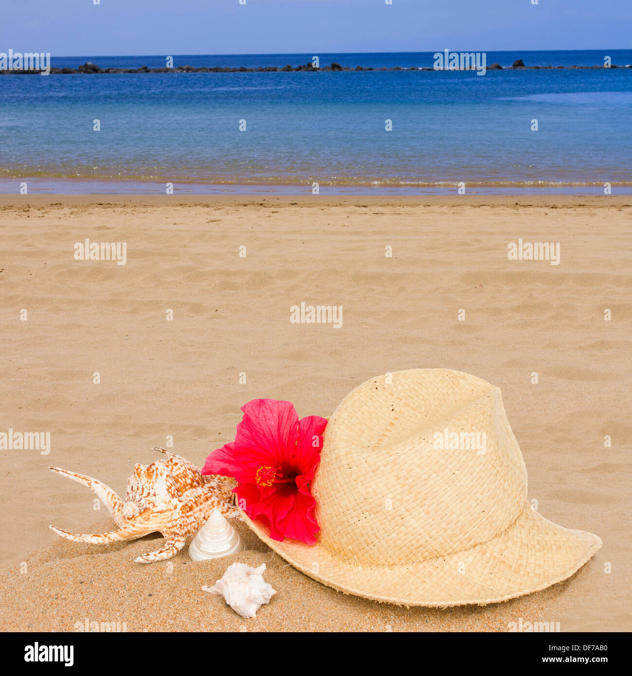 straw hat ans seashells on sand beach Stock Photo - Alamy