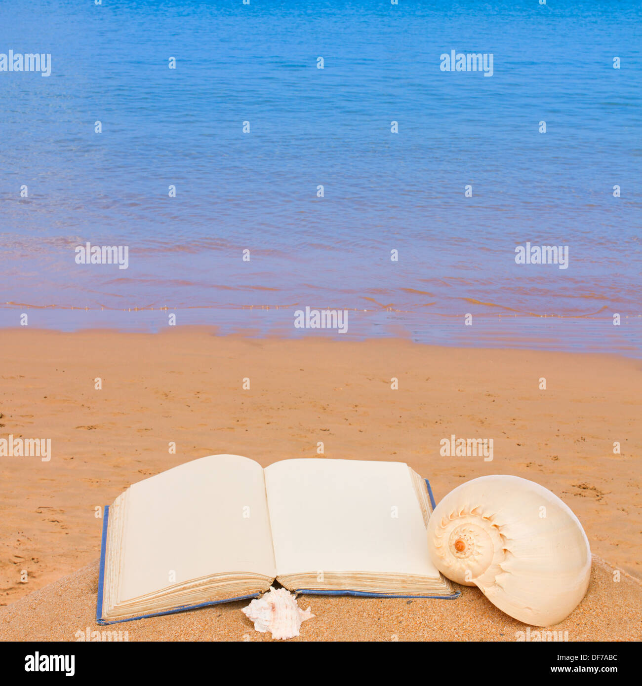 Books seashell on beach copy hi-res stock photography and images - Alamy
