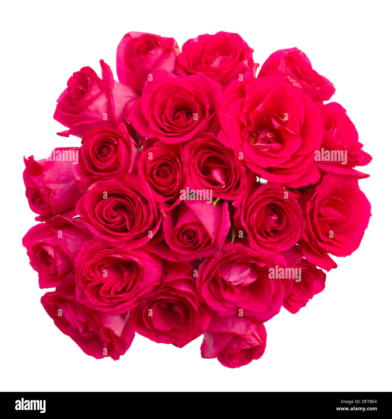 round bouquet of mauve roses Stock Photo - Alamy
