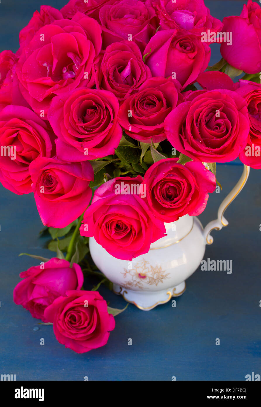 Mauve color roses hi-res stock photography and images - Alamy