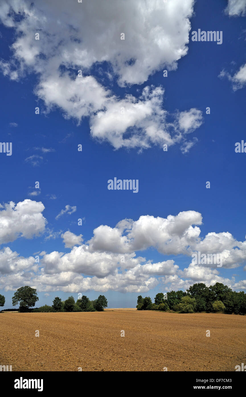 Mecklenburg agricultural landscape with cumulus clouds, Othenstorf ...