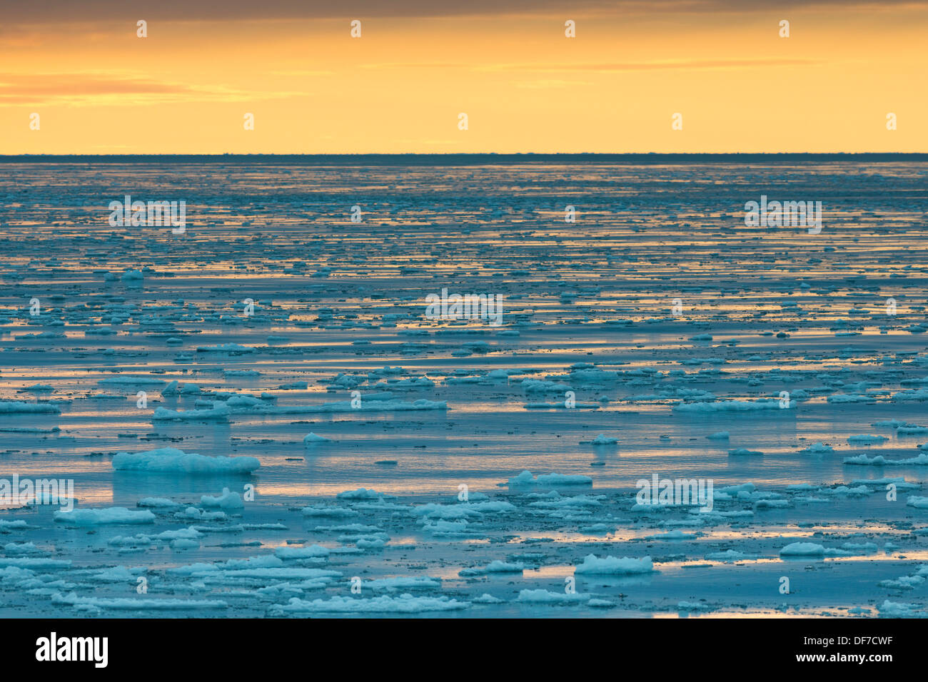 Ice floes, edge of the pack ice, evening mood, Arctic Ocean ...
