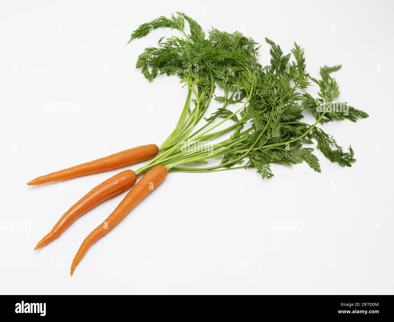 Carrots with stems hi-res stock photography and images - Alamy