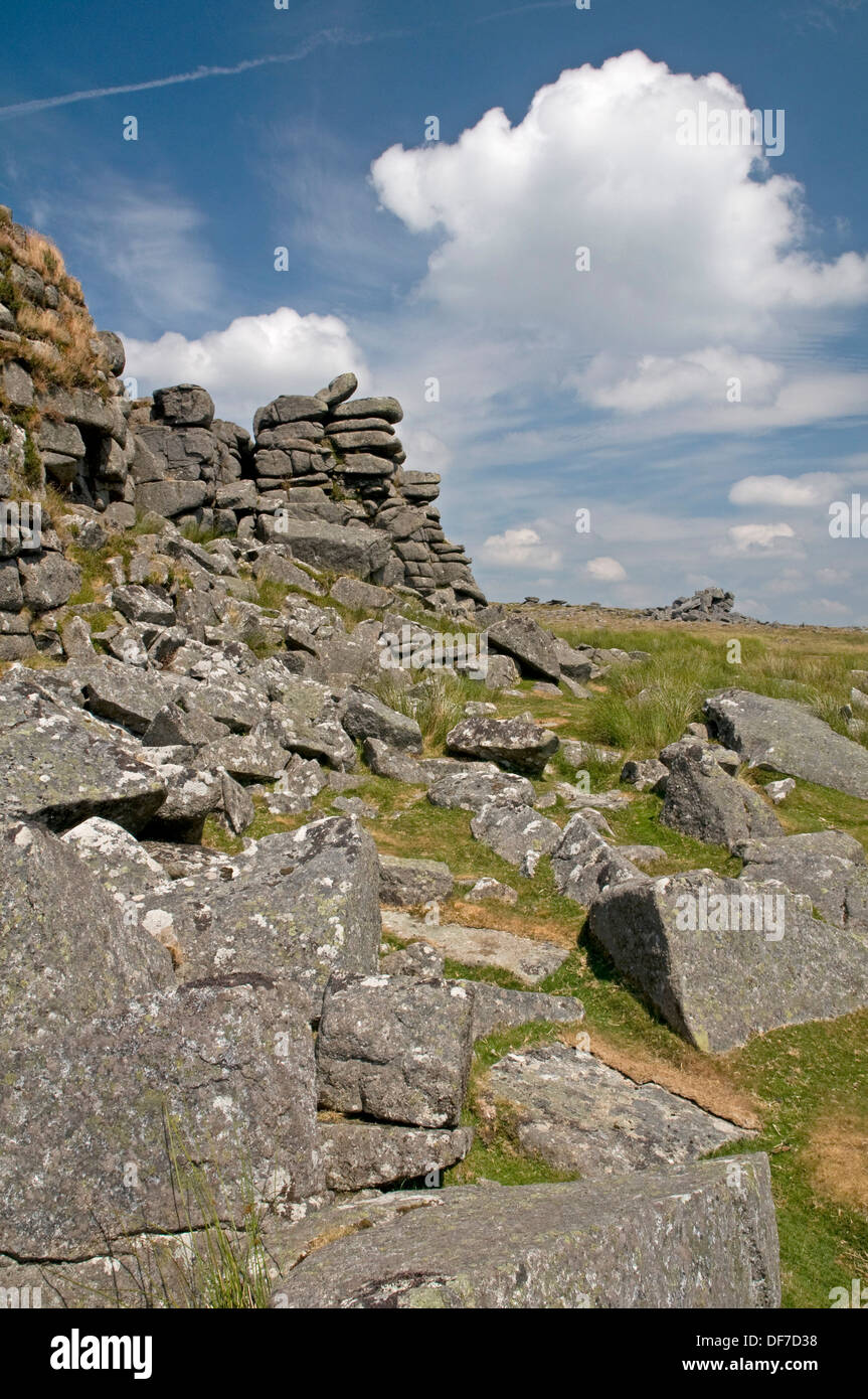 Higher Tor on the northern side of Belstone Common, Dartmoor Stock ...