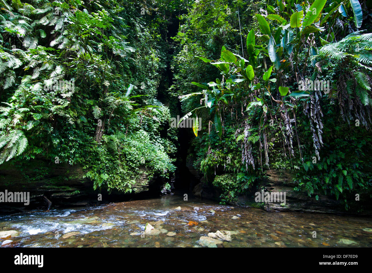 Millennium Cave, Espiritu Santo, Sanma Province, Vanuatu Stock Photo ...