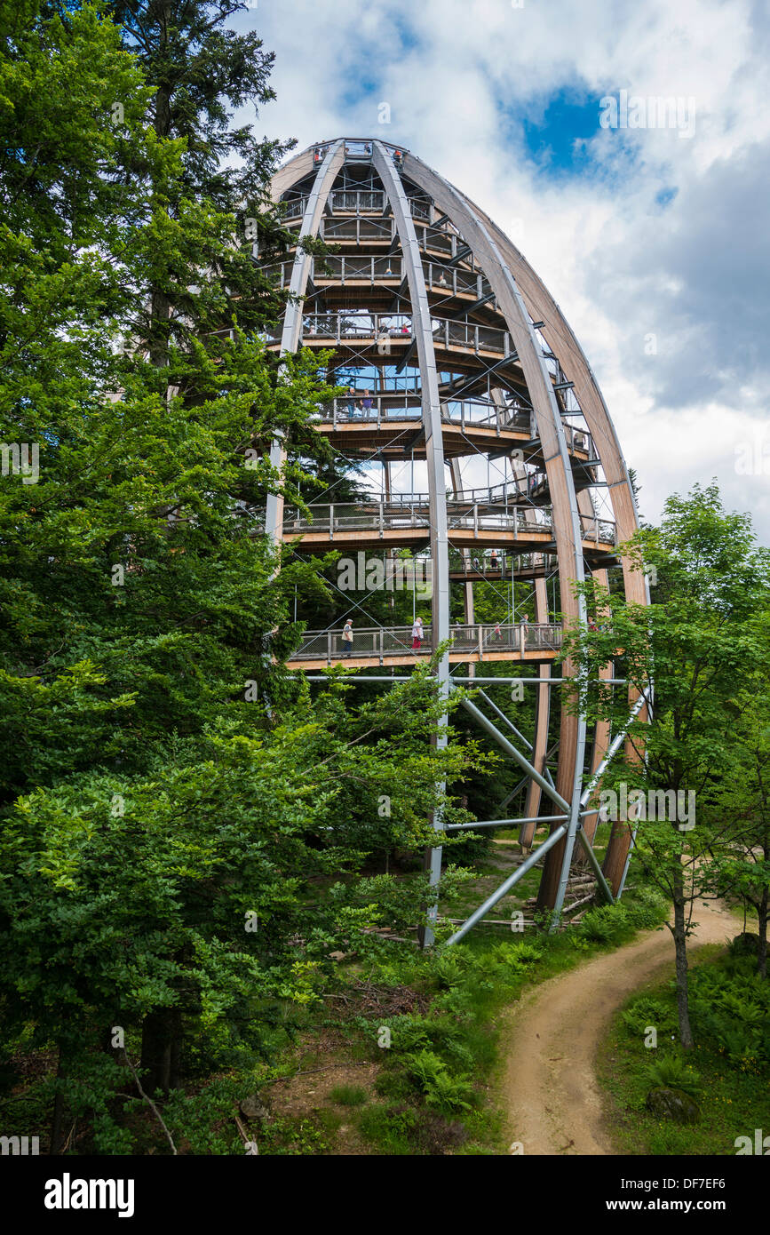 Tree tower, tree-top walkway, Bavarian Forest National Park, Neuschönau ...