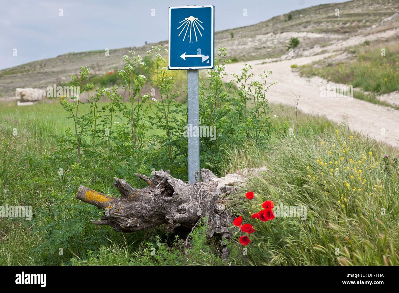 Camino frances route marker hi-res stock photography and images - Alamy
