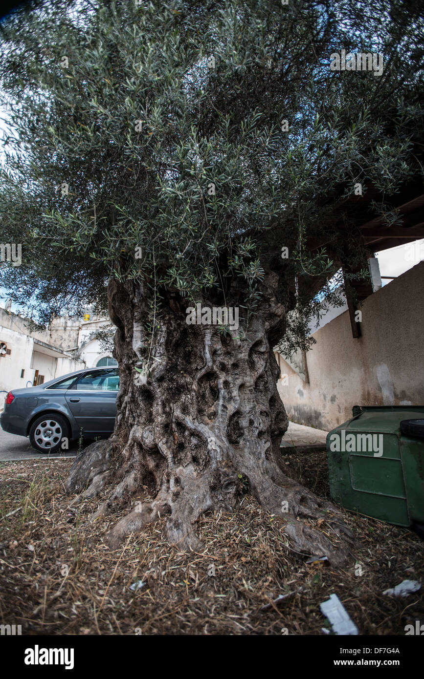Town of ramah hi-res stock photography and images - Alamy