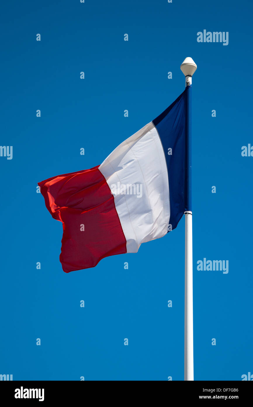 French Revolution Flag