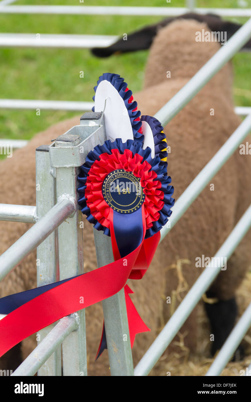 1st place hi-res stock photography and images - Alamy