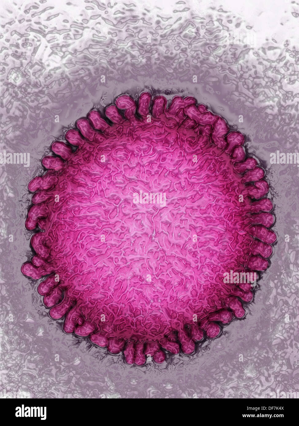 Influenza Virus Tem High Resolution Stock Photography and Images - Alamy
