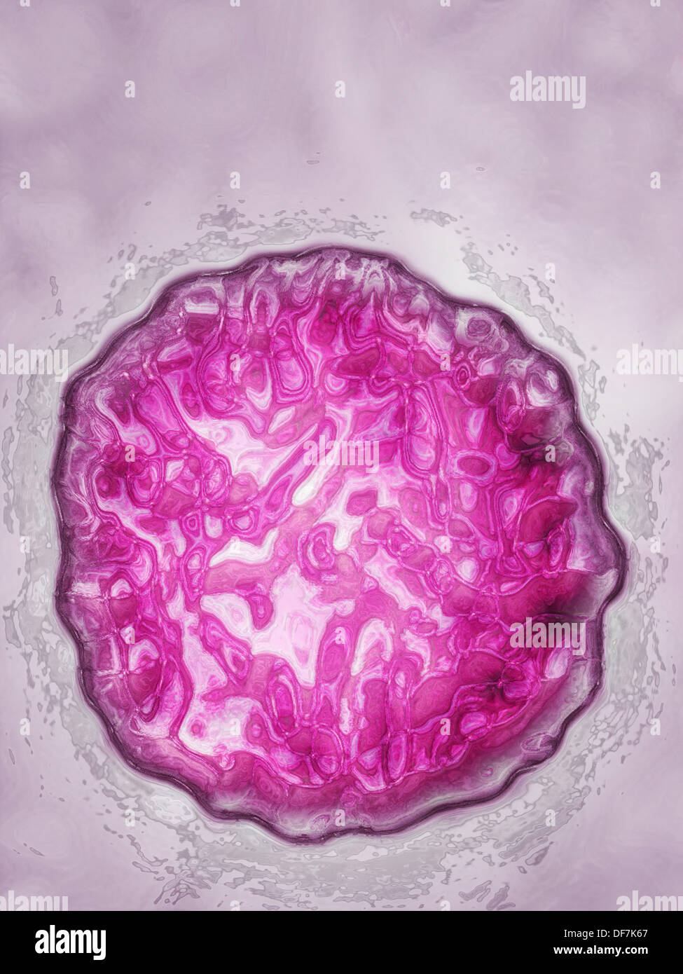 HEPATITIS C VIRUS Stock Photo - Alamy