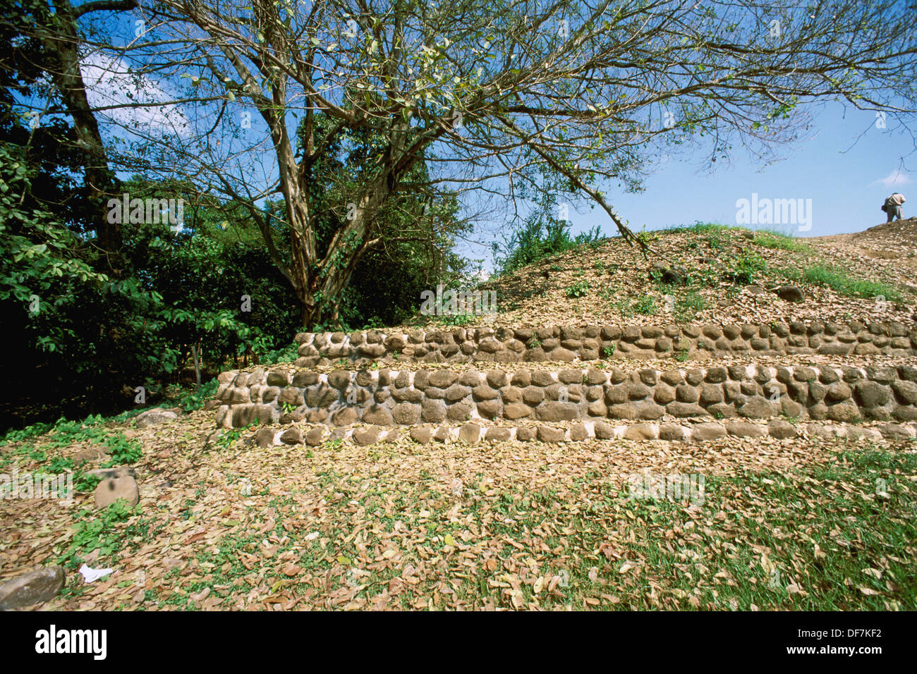 Izapa ruins mexico hi-res stock photography and images - Alamy