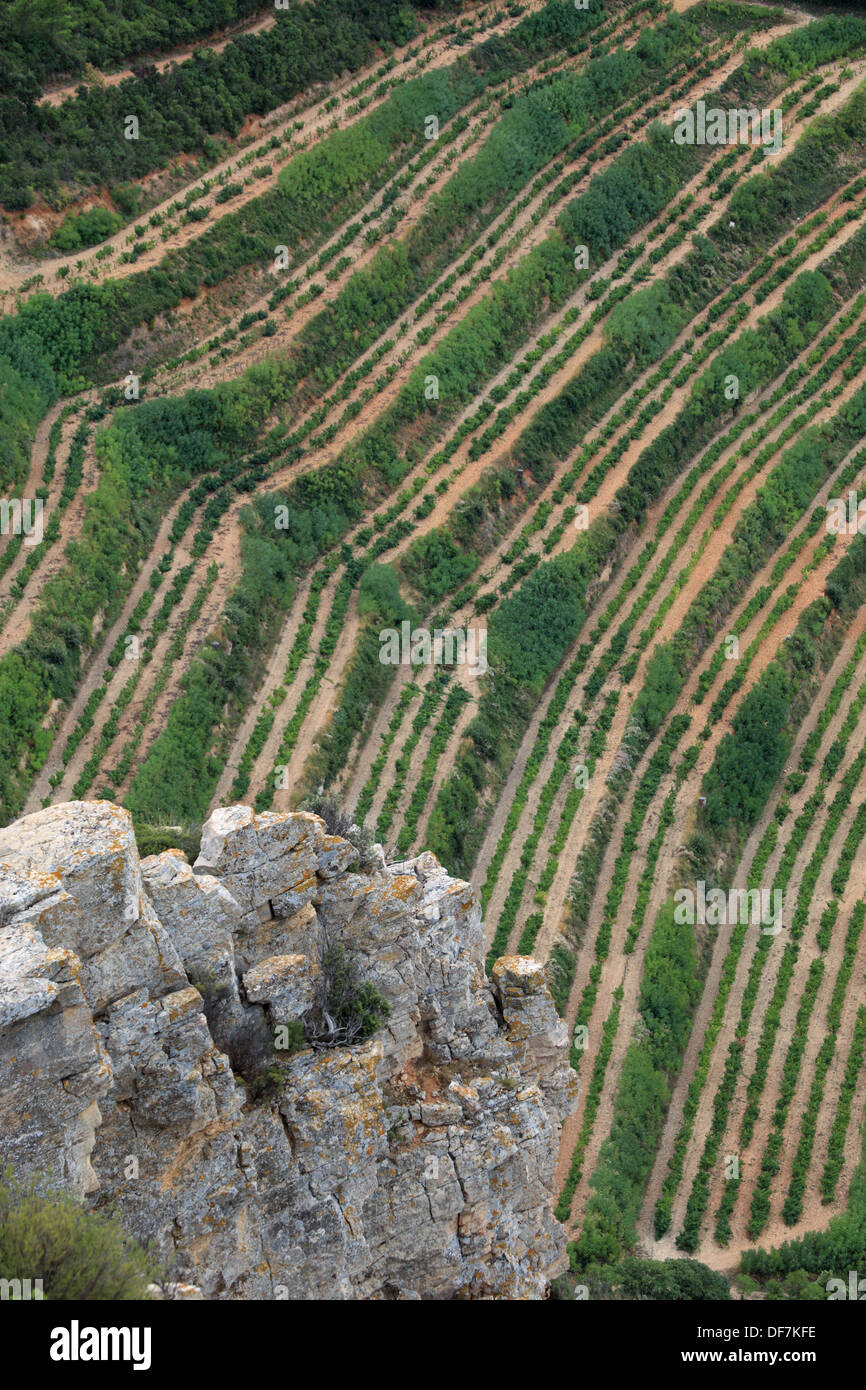 Vineyard cassis hi-res stock photography and images - Alamy