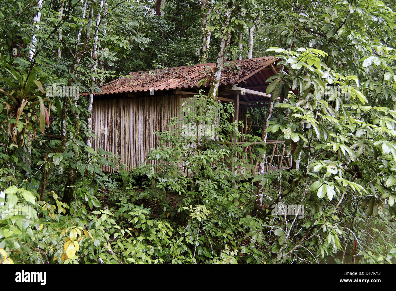 Mexico chiapas lacandon jungle north hi-res stock photography and ...