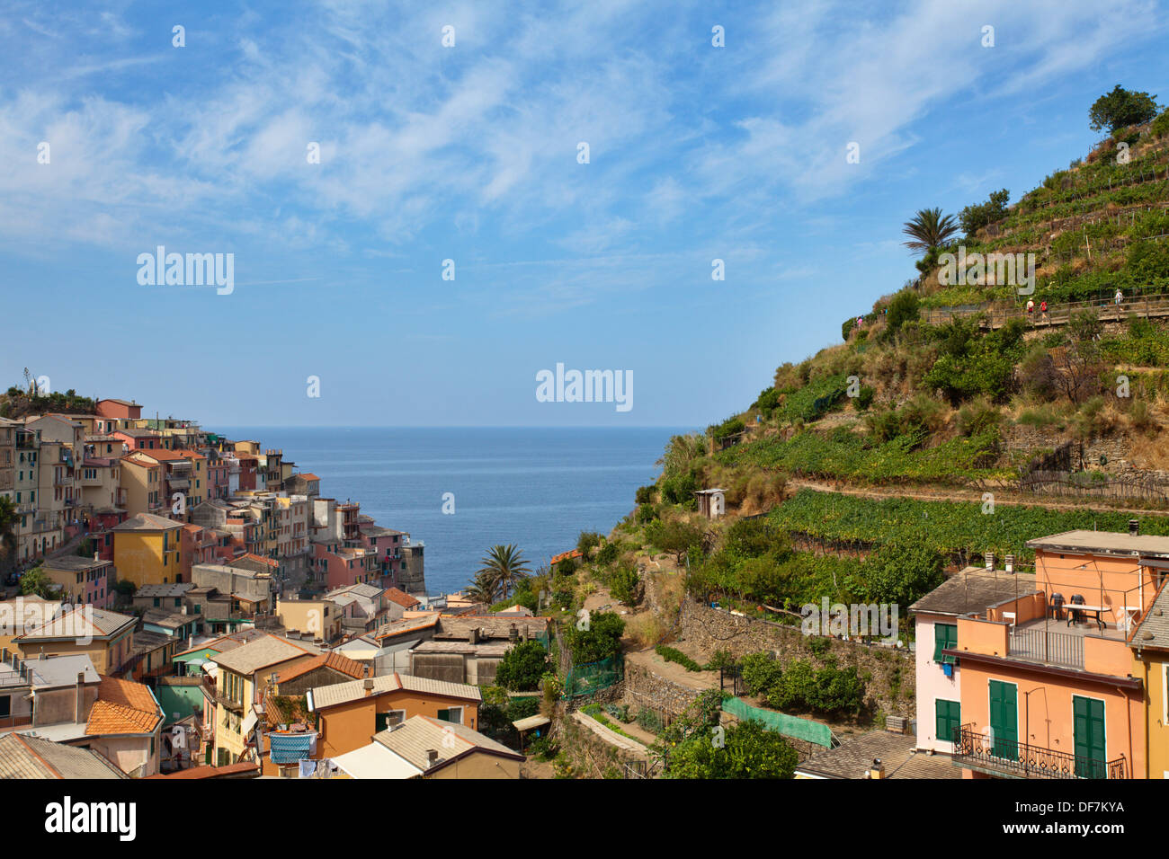 Manarola Rooftops and Vineyard Walk from Piazza Papa Innocenzo IV ...
