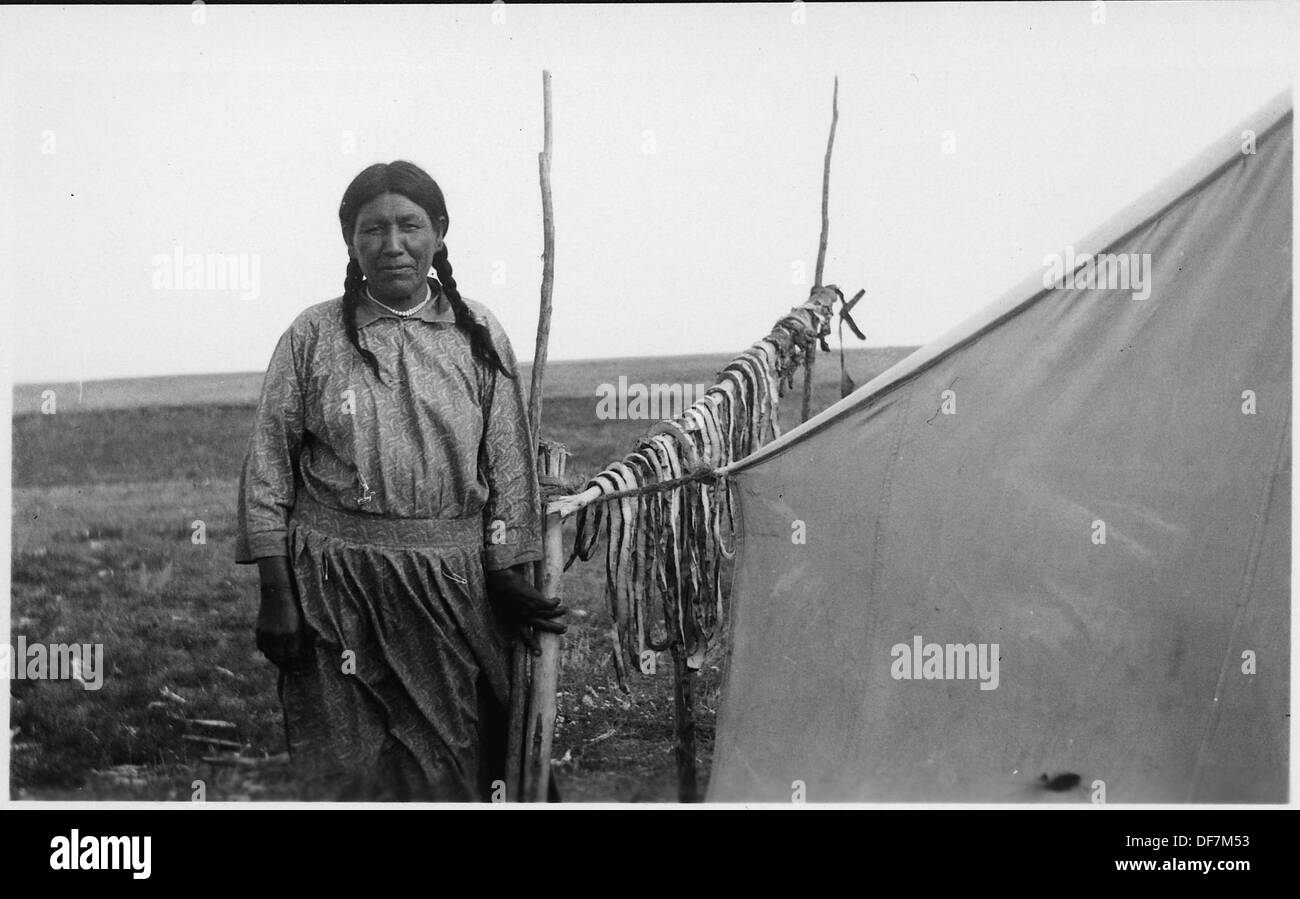 This photograph depicts food, possibly meat, being dried outdoors ...