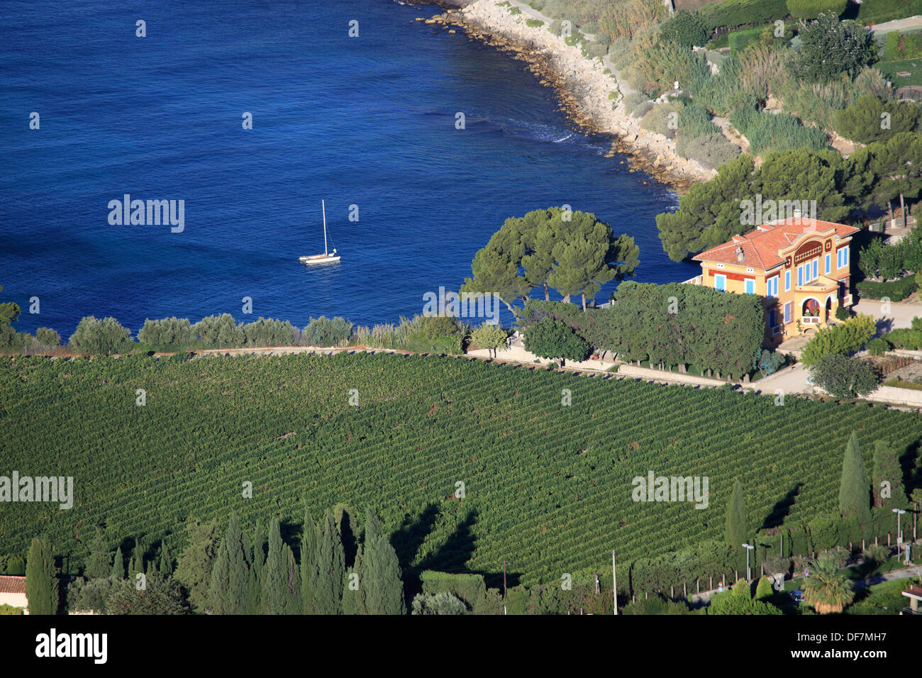 Top view above the vineyards of Cassis near Marseille Stock Photo - Alamy