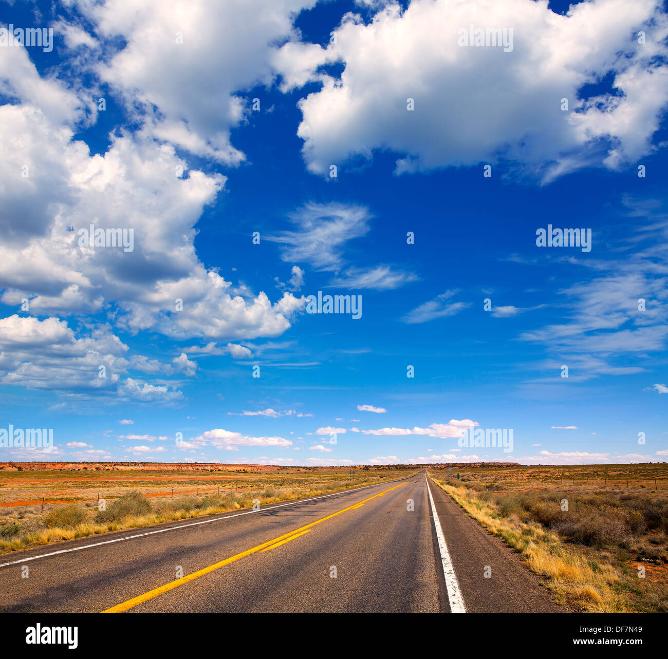Desert landscape with bush and lines on dry sand hi-res stock ...
