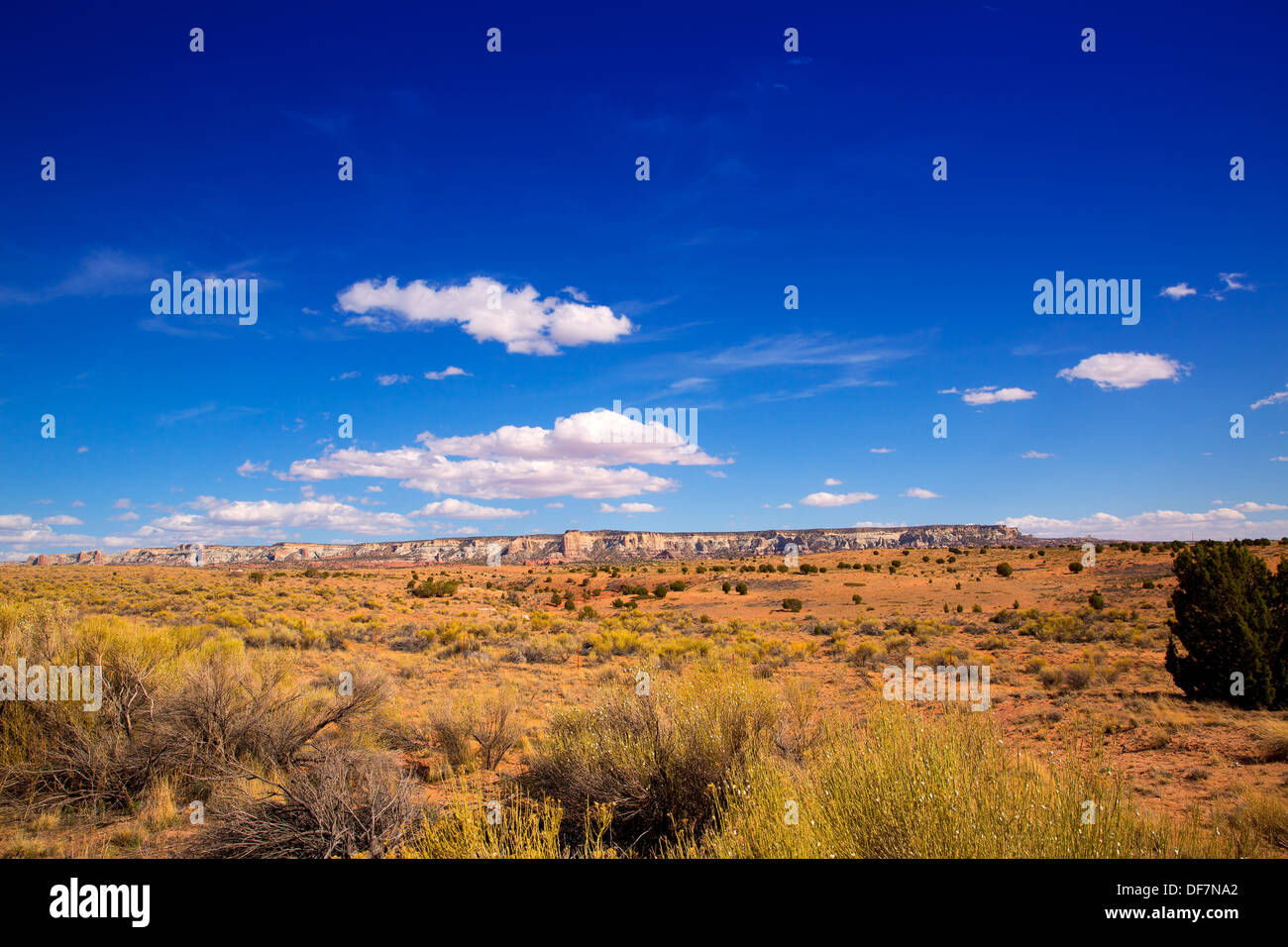 Sunny day arizona hi-res stock photography and images - Alamy