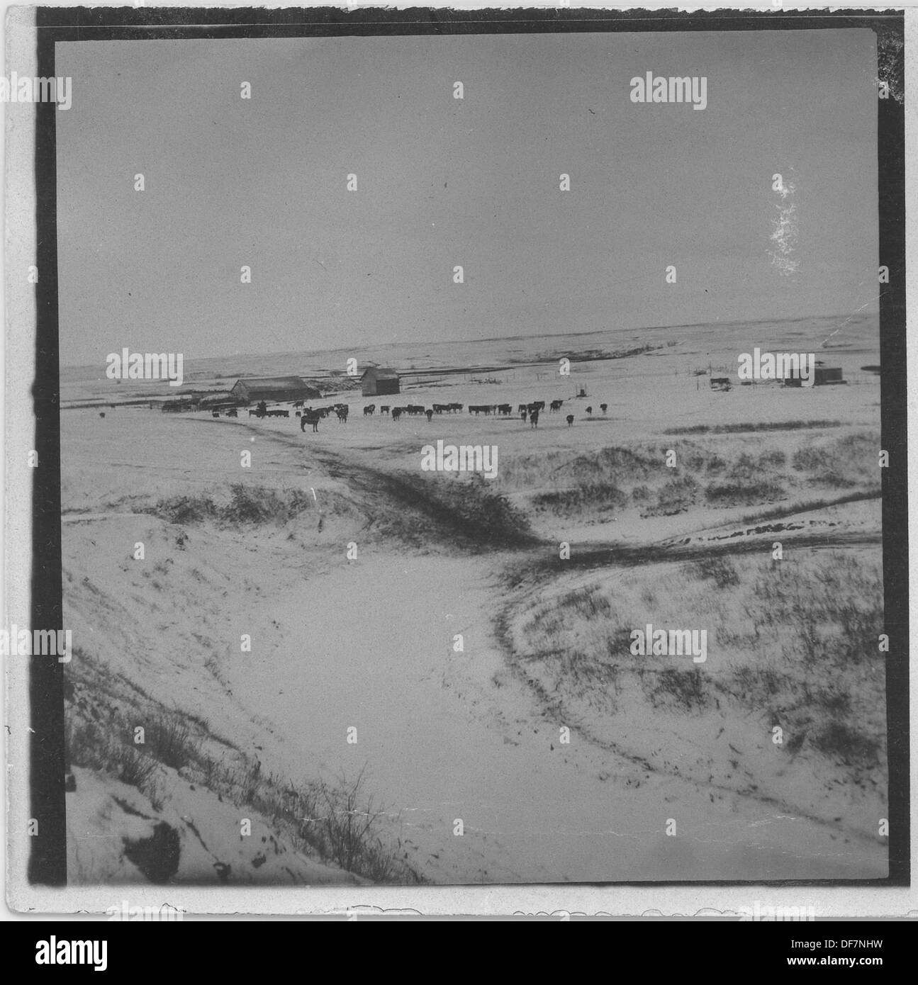 This postcard showcases a ranch at Devils Lake, featuring various ...