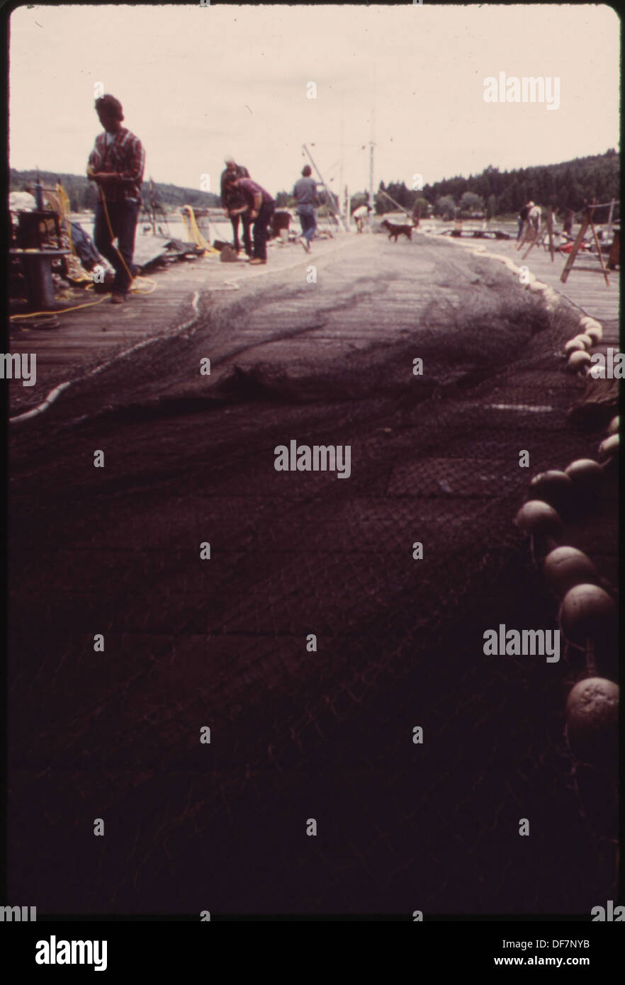This image shows the preparation of a purse seine, a type of fishing ...