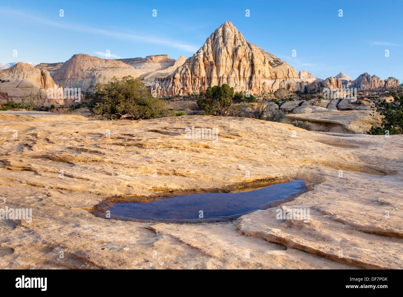 Pectols hi-res stock photography and images - Alamy